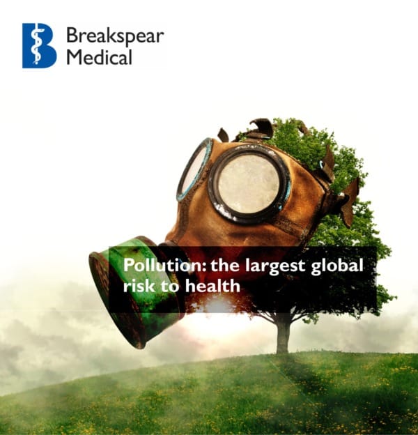 Pollution: the largest global risk to health - Breakspear Medical ...