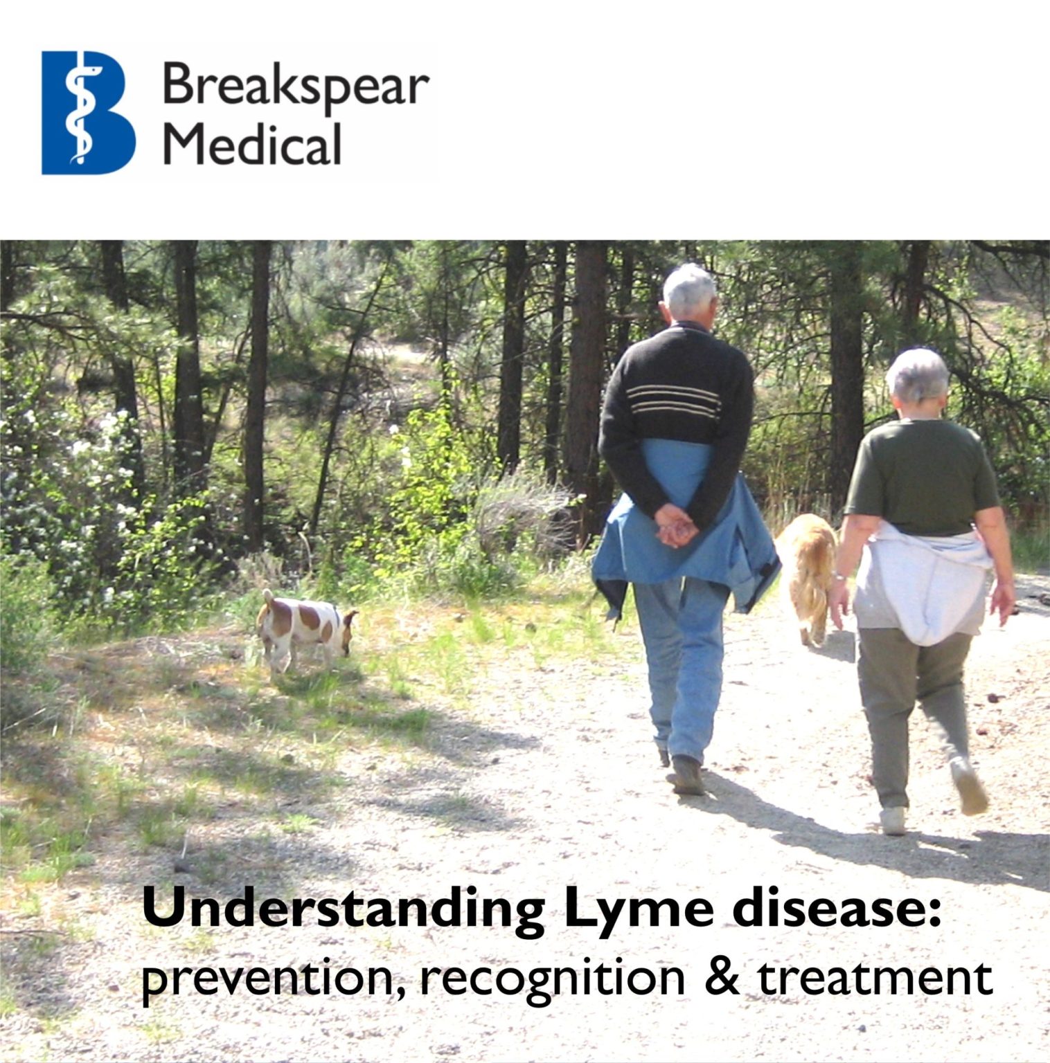 Understanding Lyme disease: prevention, recognition & expert treatment ...